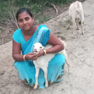 Sulkeha Devi’s Journey of Economic Empowerment – Bihar Voluntary Health ...